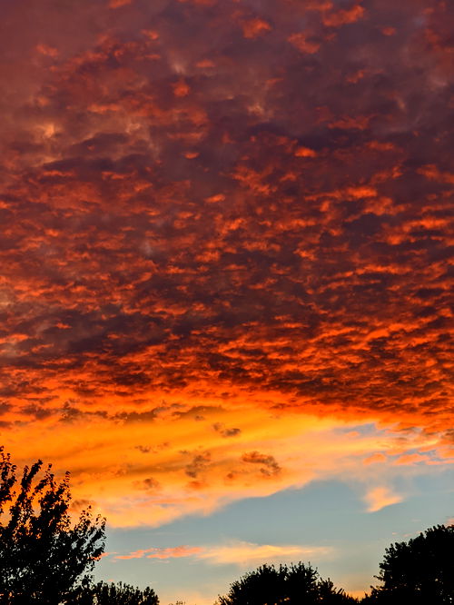 🥰 Watch Free Onlyfans Photos and Videos of Busch on FansFan! 💝